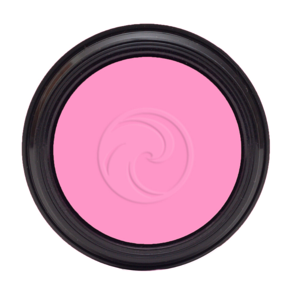 Powder Blush in Vibrant Pink – gabrielcosmetics